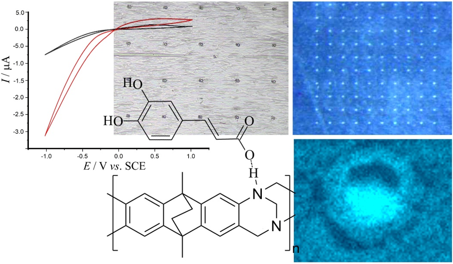 Publication: Ionic Diode and Molecular Pump Phenomena Associated with ...