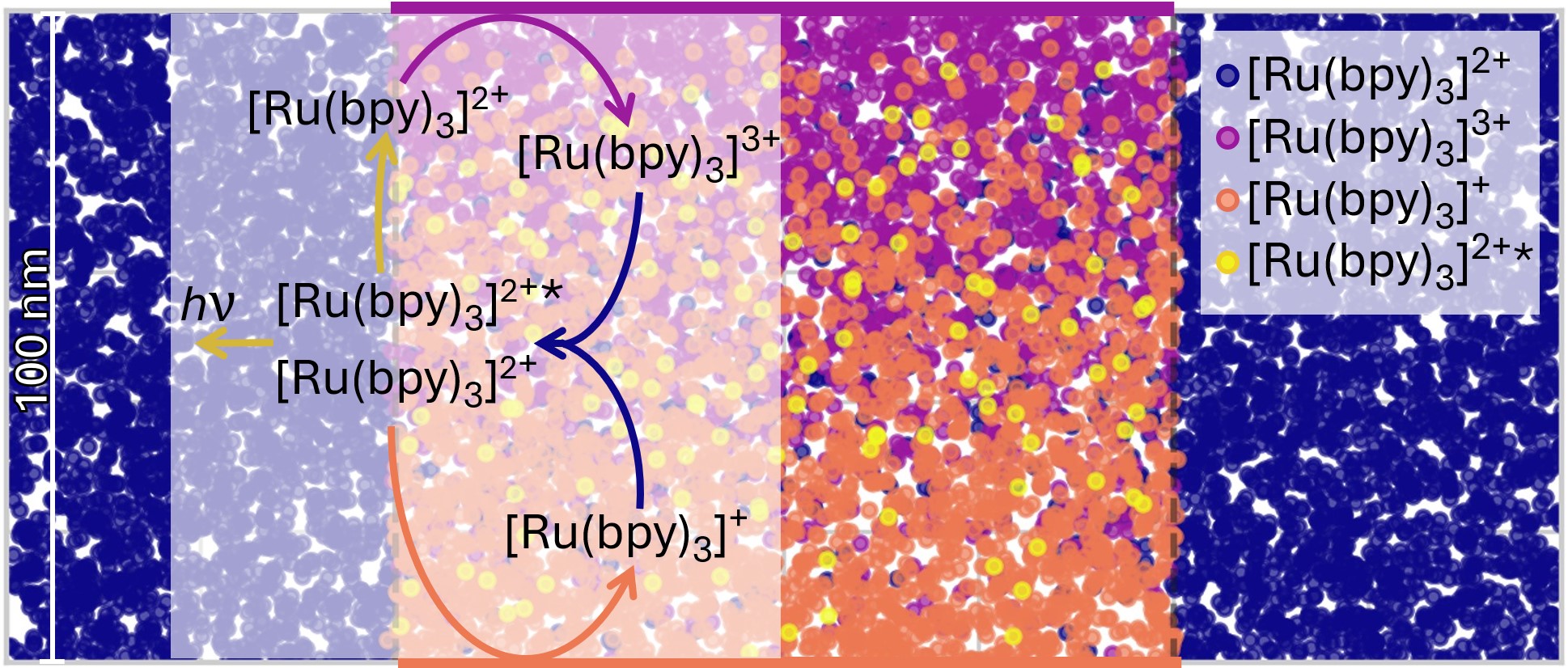 Preprint: AI-driven simulation of stochastic electrochemiluminescence ...